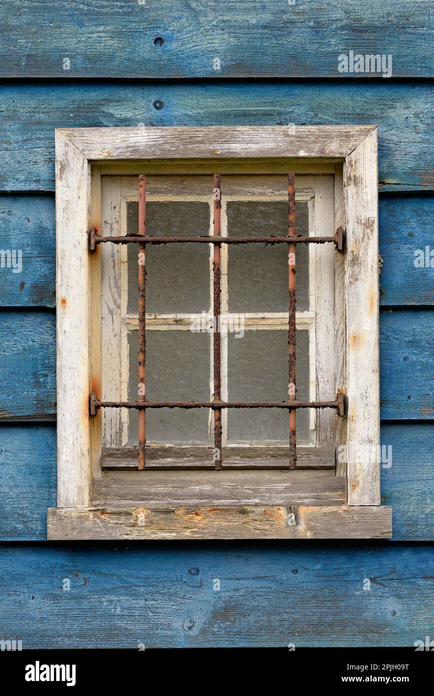 Abandoned wooden house, blue board facade with white barred window ...