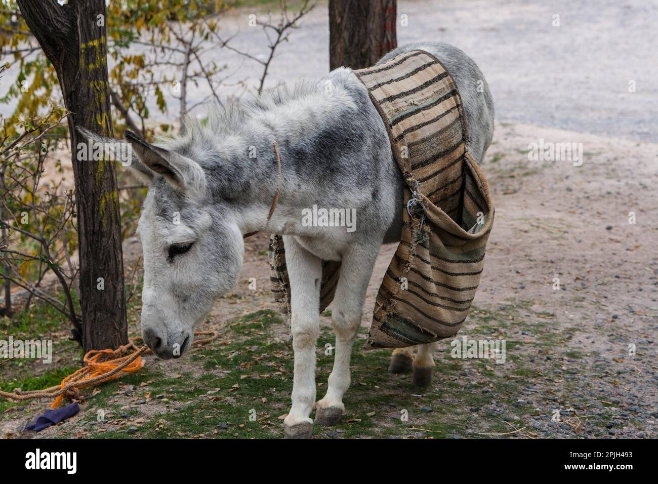 Hausel, Cappadocia, Turkey Stock Photo - Alamy