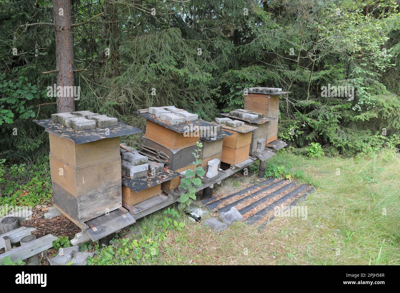 Beehive beekeeper hi-res stock photography and images - Alamy