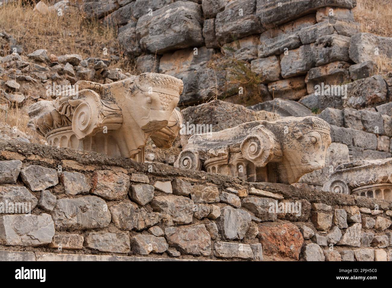 Bull's Head Capitals, Ephesus, Turkey Stock Photo - Alamy