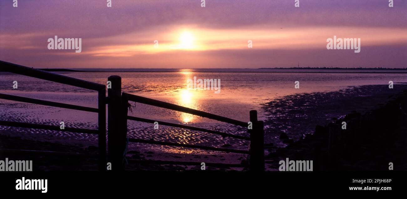 Jade bay hi-res stock photography and images - Alamy