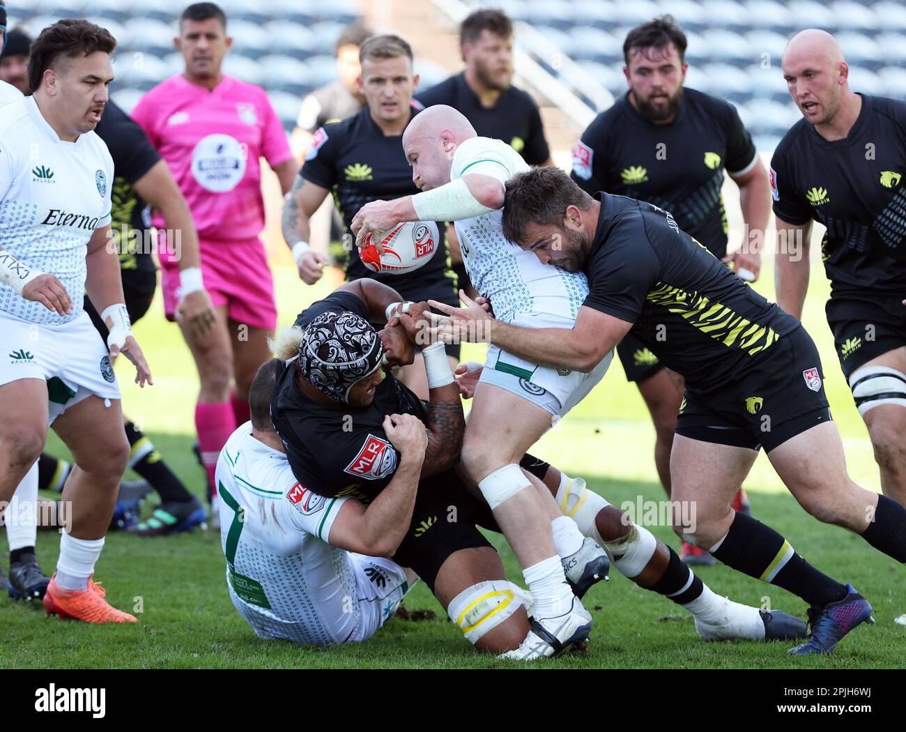 Hounds stadium hi-res stock photography and images - Alamy