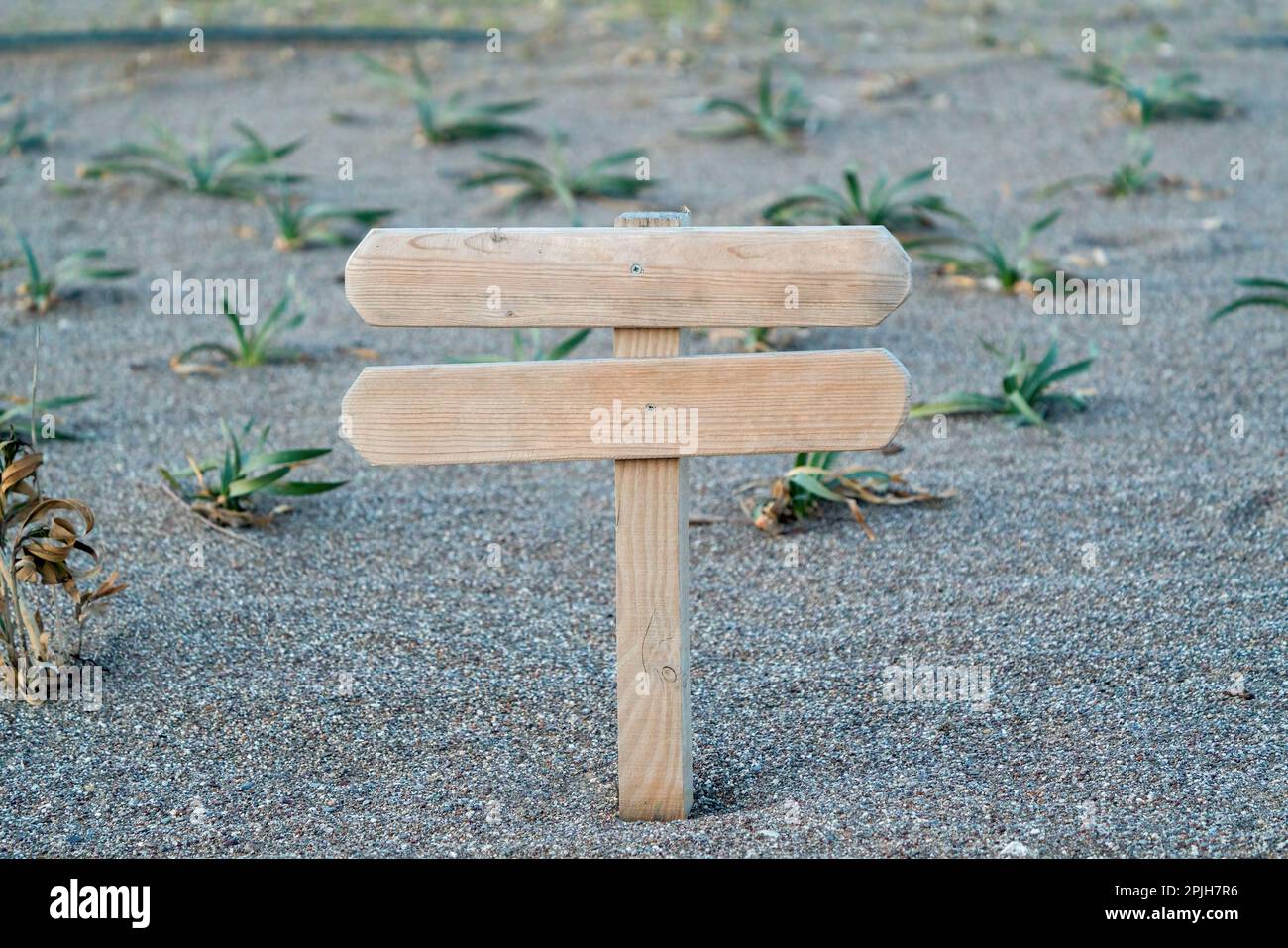 wooden signboard with this way in the beach Stock Photo - Alamy