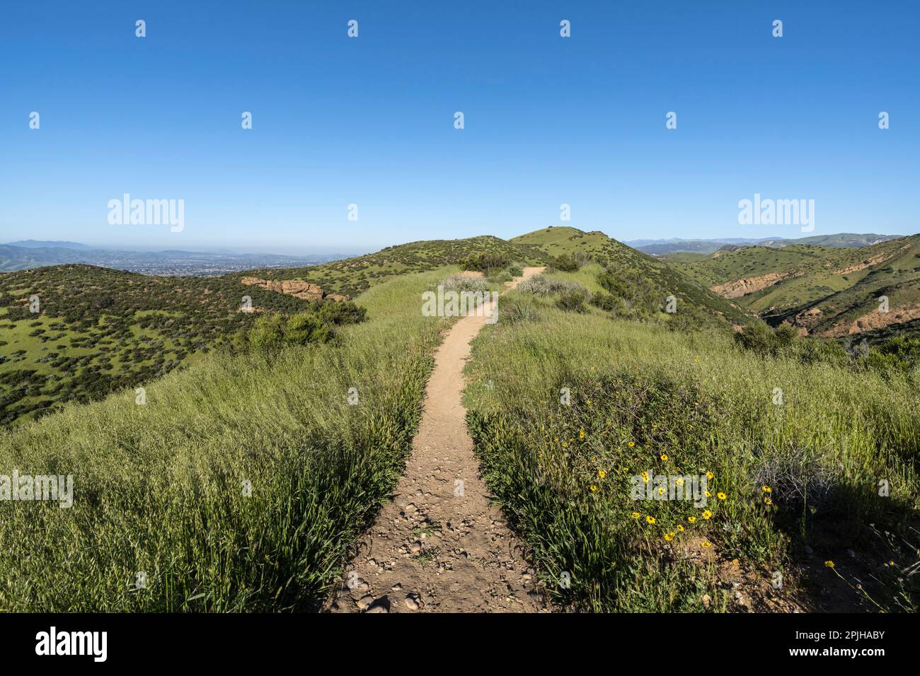 Green spring growth along the Chumash trail near Simi Valley in ...