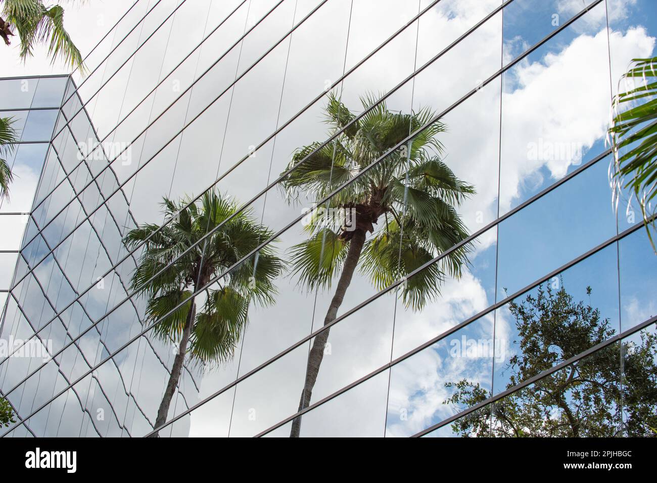 image of glassy building architecture. glassy building architecture ...