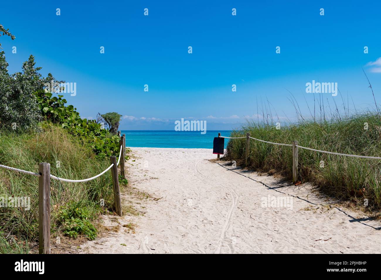 summer pathway. empty road pathway outdoor. way pathway alley. photo of ...