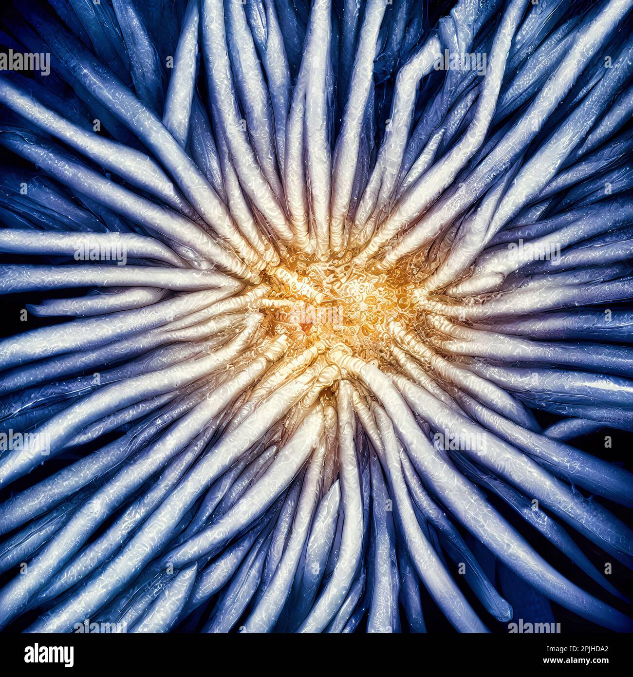 Fluorescence microscopy dna hi-res stock photography and images - Alamy