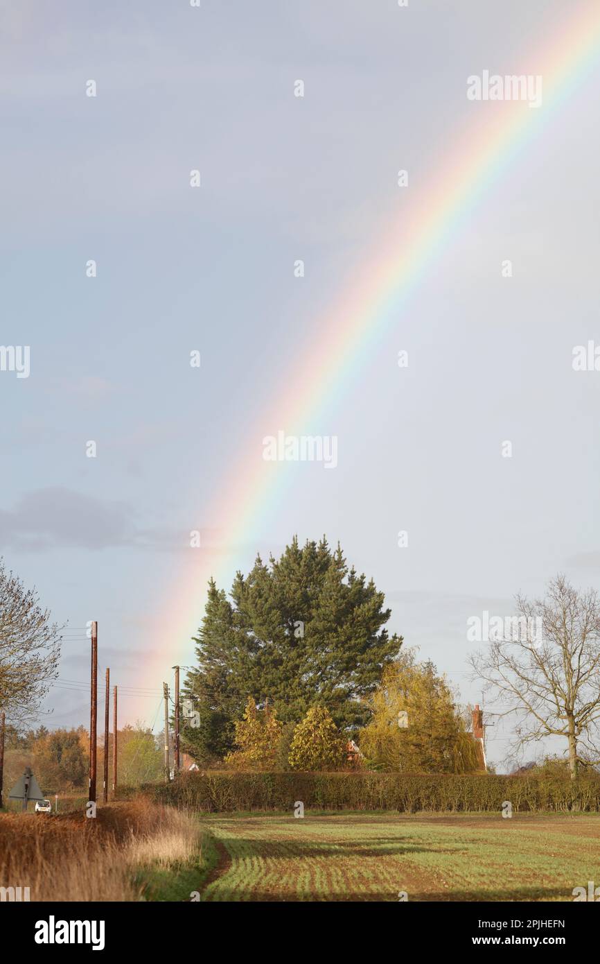 Rainbow appearing through the trees in the English countryside ...