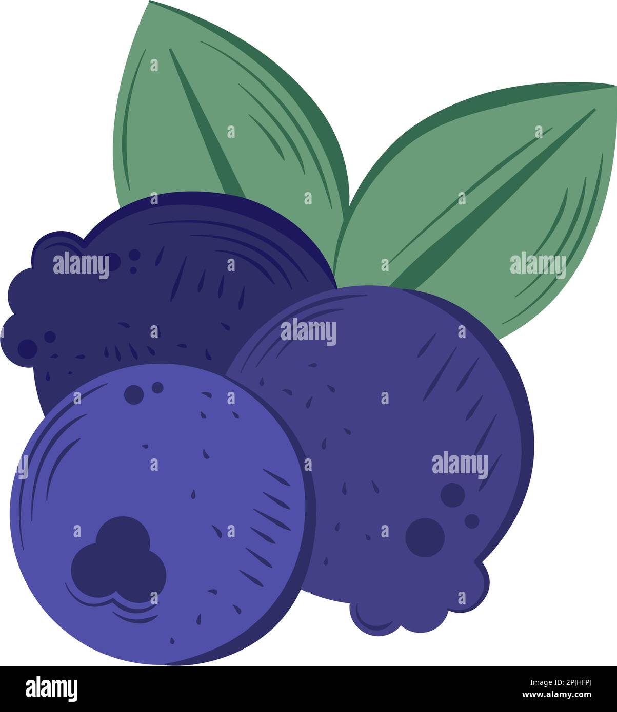 Blueberries plant icon cartoon hi-res stock photography and images - Alamy