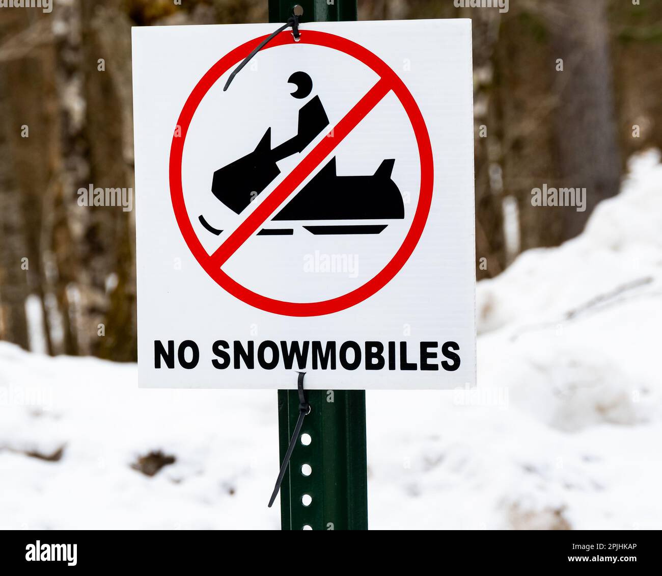 Snow trees black and white hi-res stock photography and images - Alamy