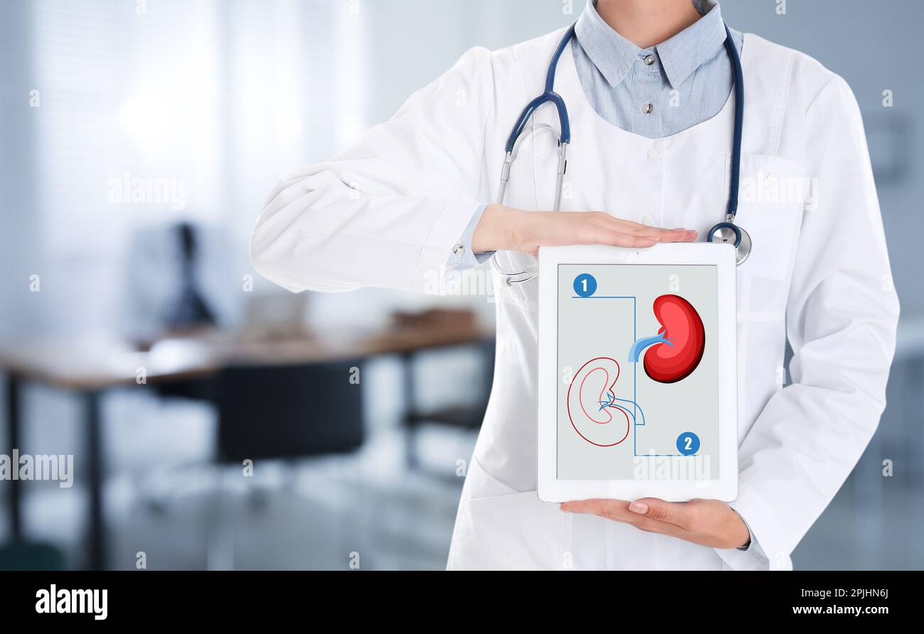 Closeup view of doctor holding modern tablet with illustration of ...