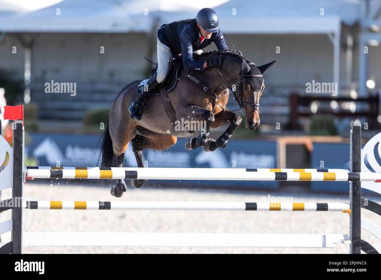 Paul O'Shea of Ireland competes at a Major League Show Jumping event at ...