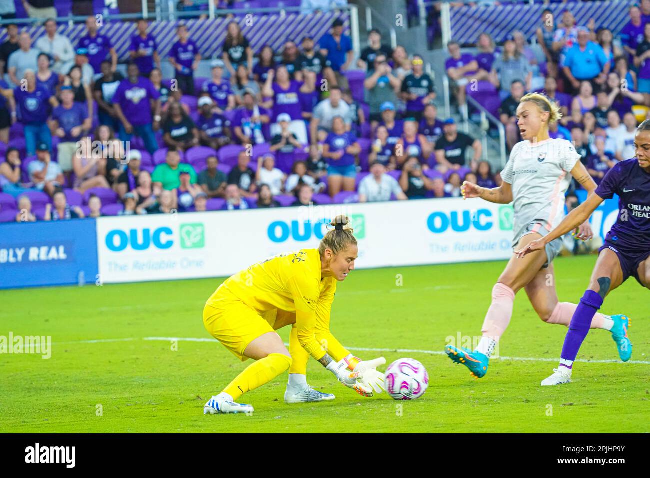 Didi haracic hi-res stock photography and images - Alamy