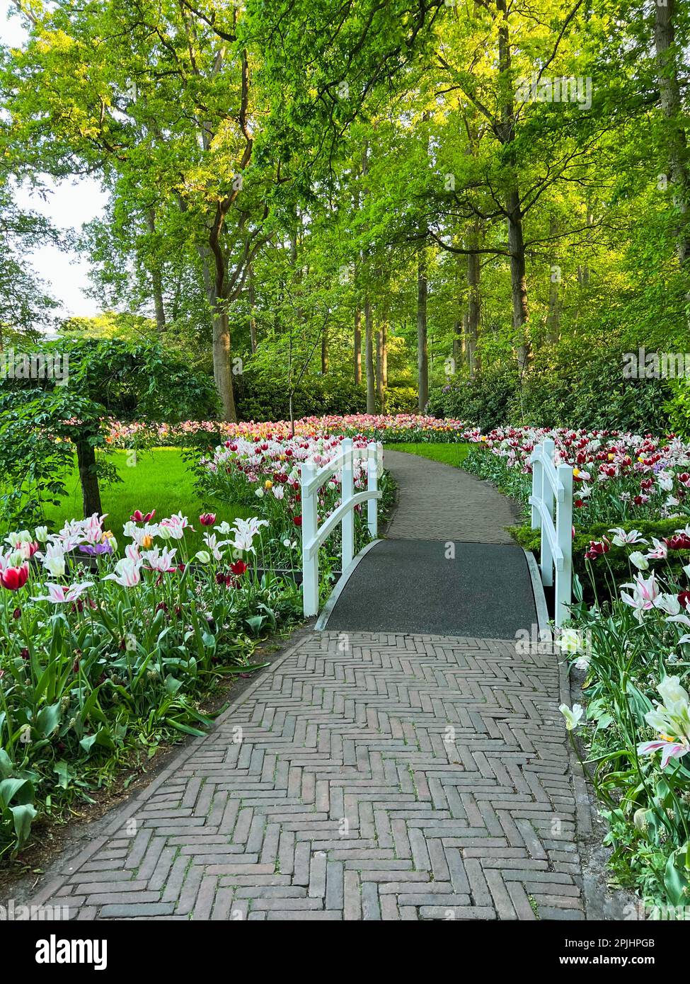Park with beautiful flowers and bridge over canal. Spring season Stock ...