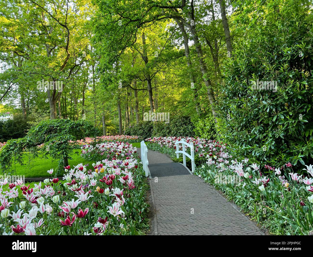 Park with beautiful flowers and bridge over canal. Spring season Stock ...