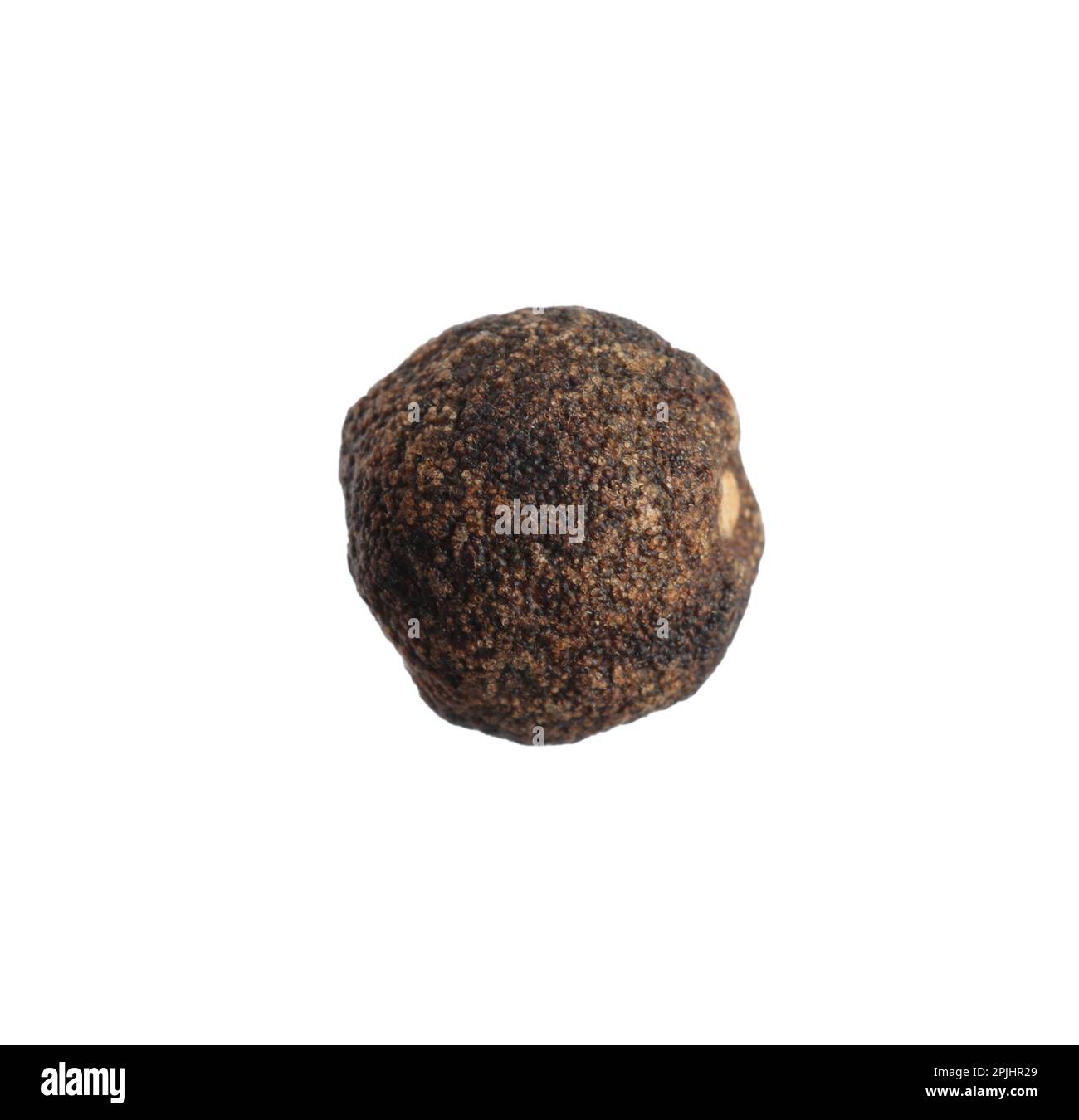 One aromatic allspice peppercorn isolated on white Stock Photo - Alamy