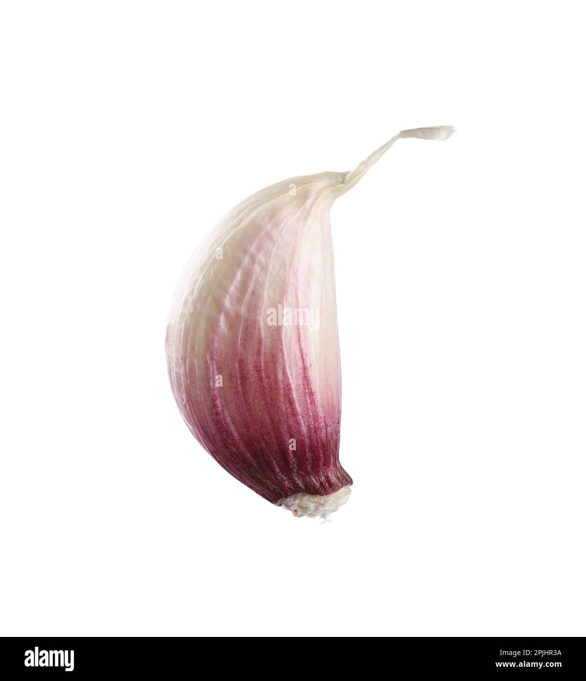 One unpeeled garlic clove isolated on white Stock Photo - Alamy