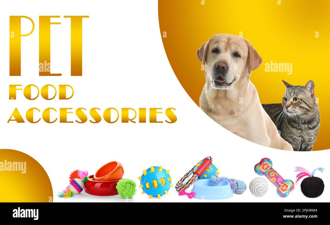 Advertising poster design for pet shop. Cute dog with cat and different ...