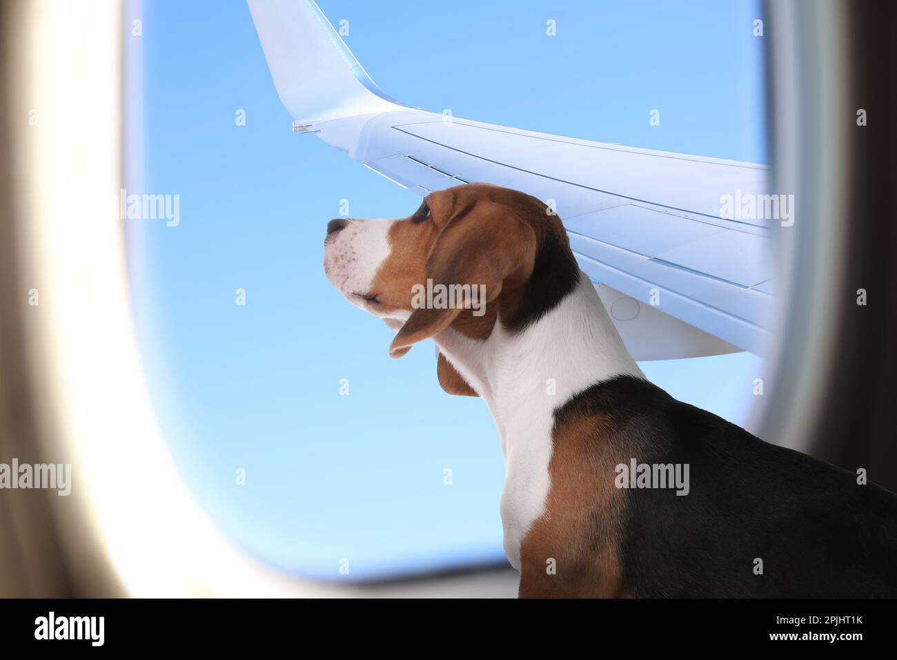 Jet travelling at height hi-res stock photography and images - Alamy