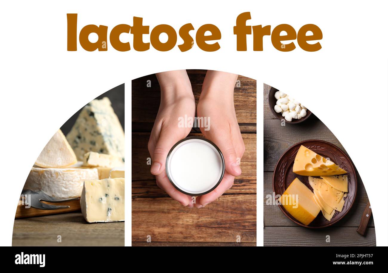 Collage with photos of lactose free dairy products on white background ...