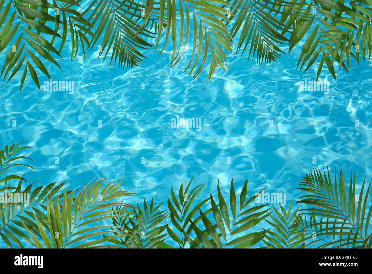 Swimming pool backdrop palm tree hi-res stock photography and images ...