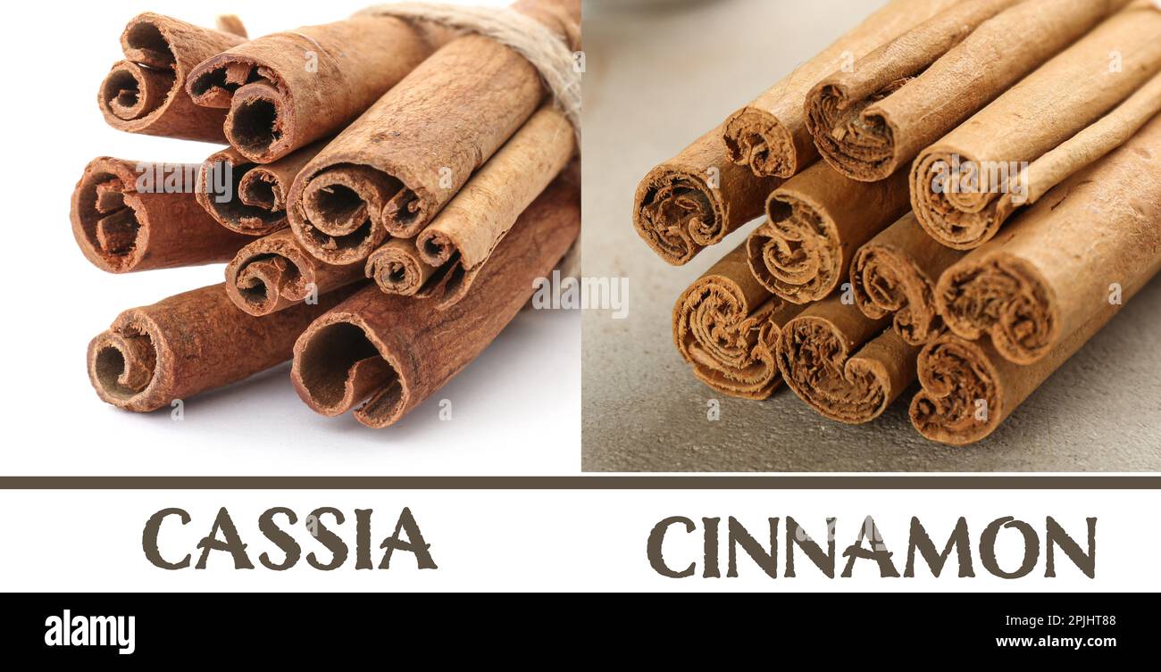Collage with photos of cassia and ceylon cinnamon sticks, closeup ...