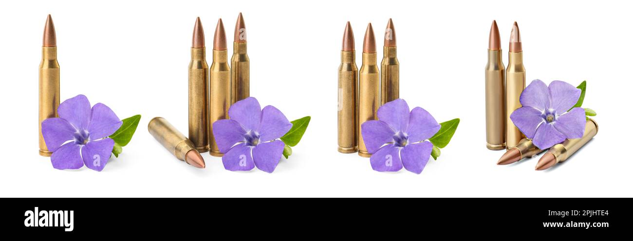 Set of bullets and beautiful flowers on white background. Banner design ...