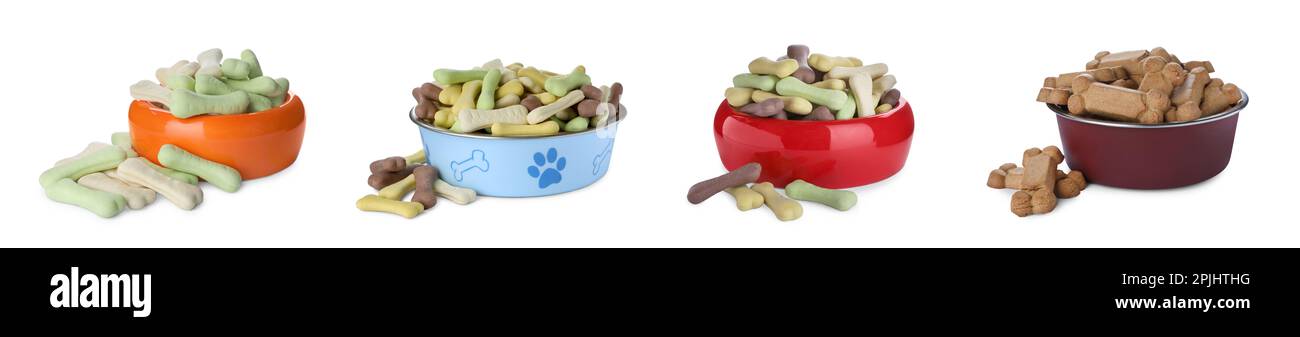 Set of different bone shaped dog cookies in feeding bowls on white ...