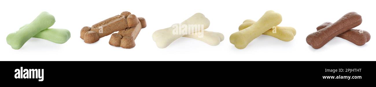 Set of different bone shaped dog cookies on white background. Banner ...