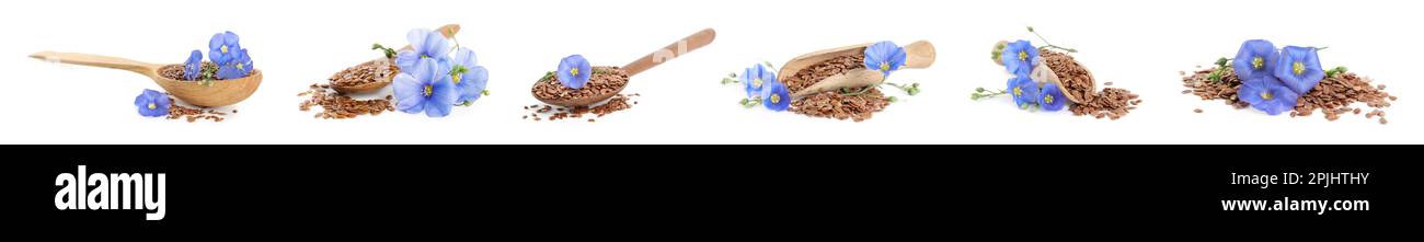 Set with flax seeds and flowers on white background. Banner design ...