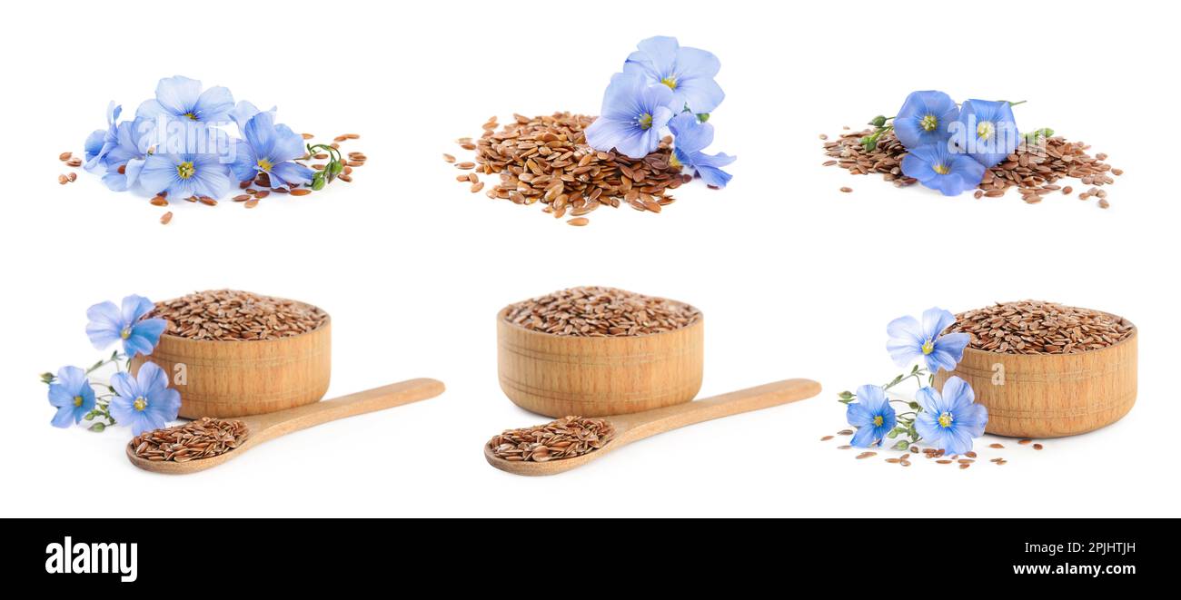 Set with flax seeds and flowers on white background. Banner design ...