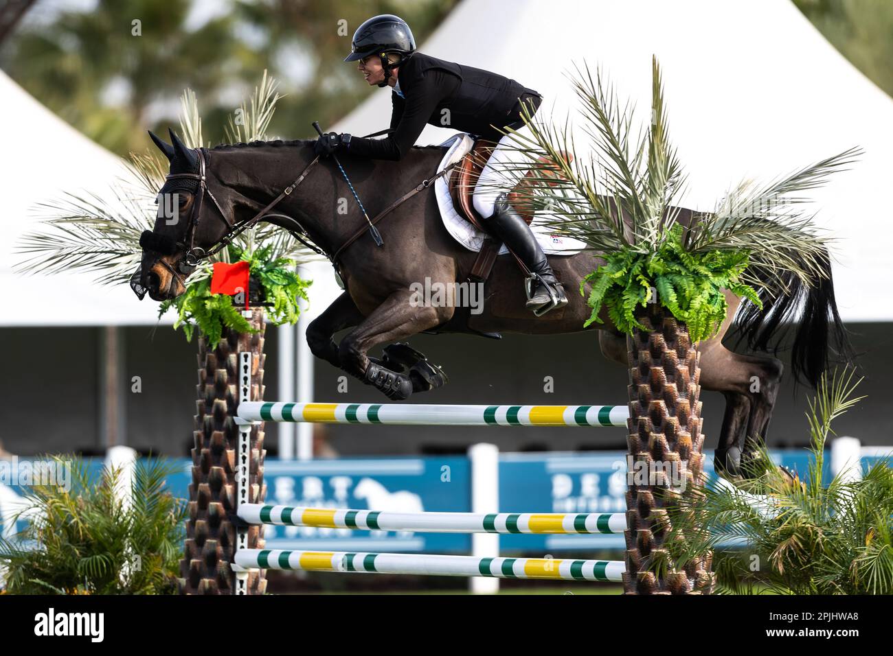 Amy Millar from Canada competes at a Major League Show Jumping event at ...