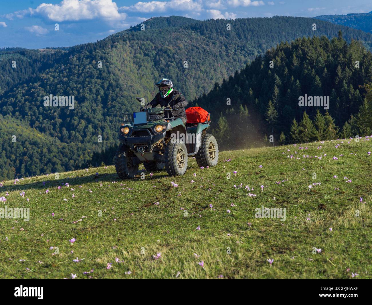 A man driving a quad ATV motorcycle through beautiful meadow landscapes Stock Photo - Alamy