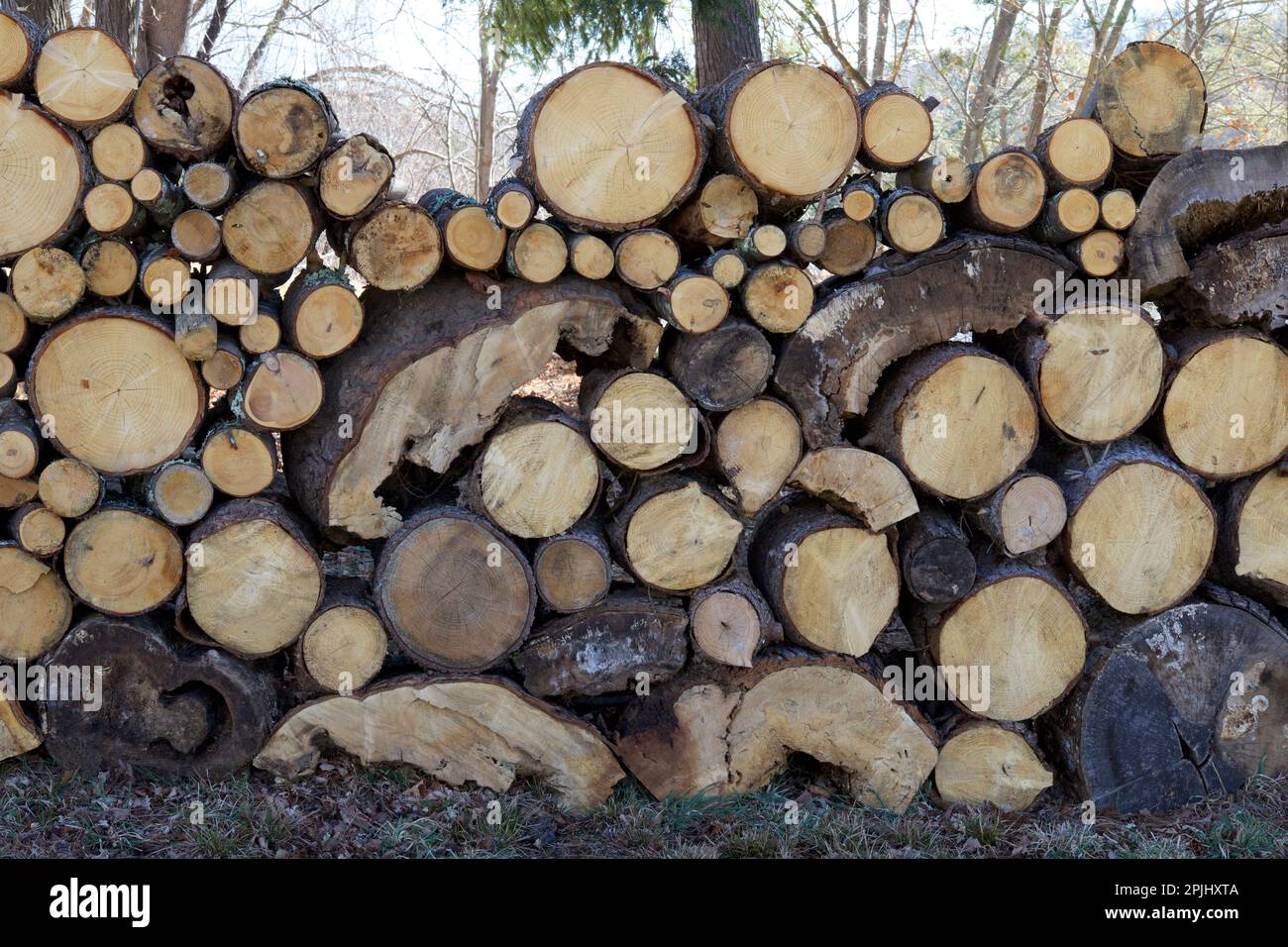 Pile of wood with different shapes and sizes. Stacked for use with ...