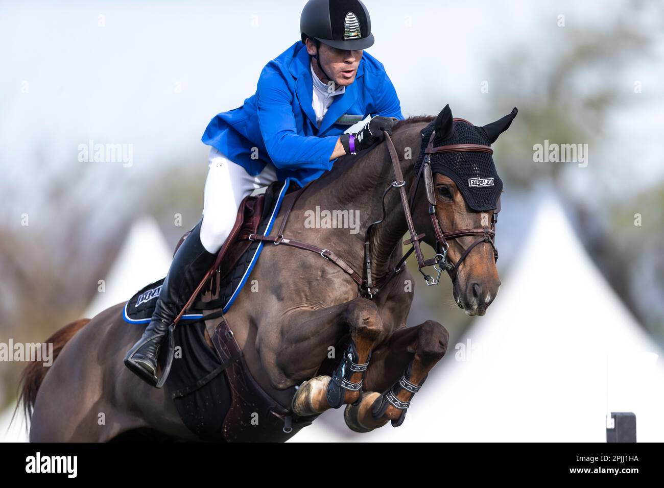 International federation for equestrain sports hi-res stock photography ...
