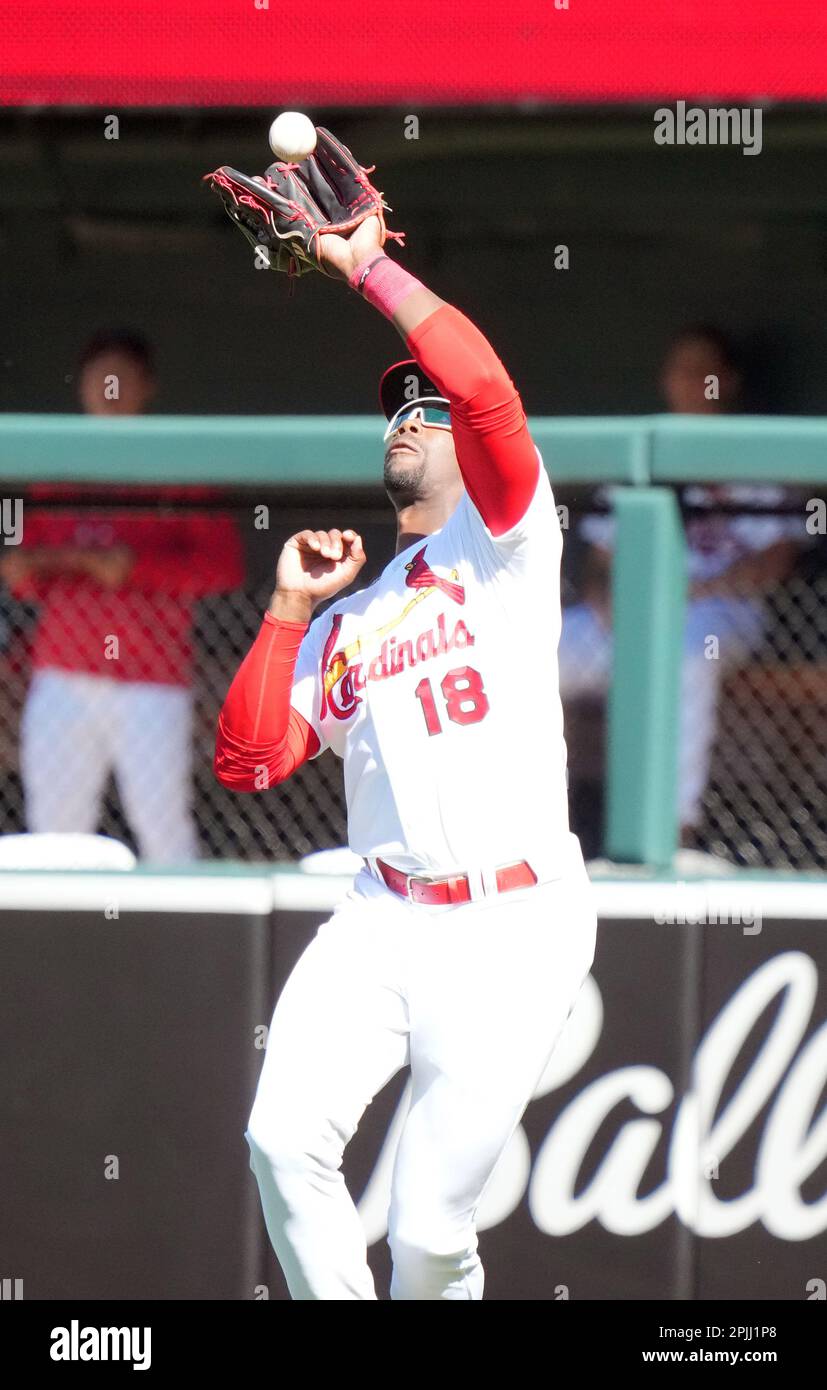 Jordan walker cardinals hi-res stock photography and images - Alamy