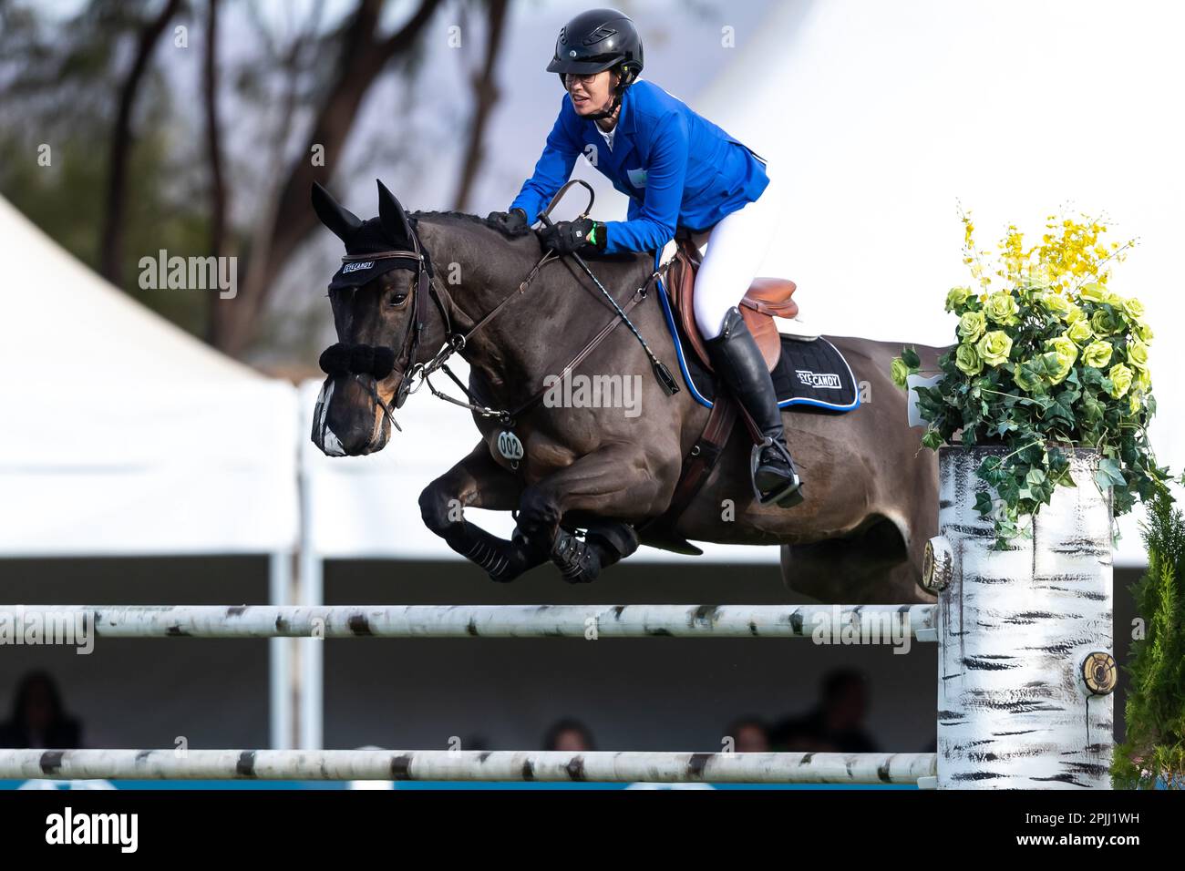 Amy Millar from Canada competes at a Major League Show Jumping event at ...