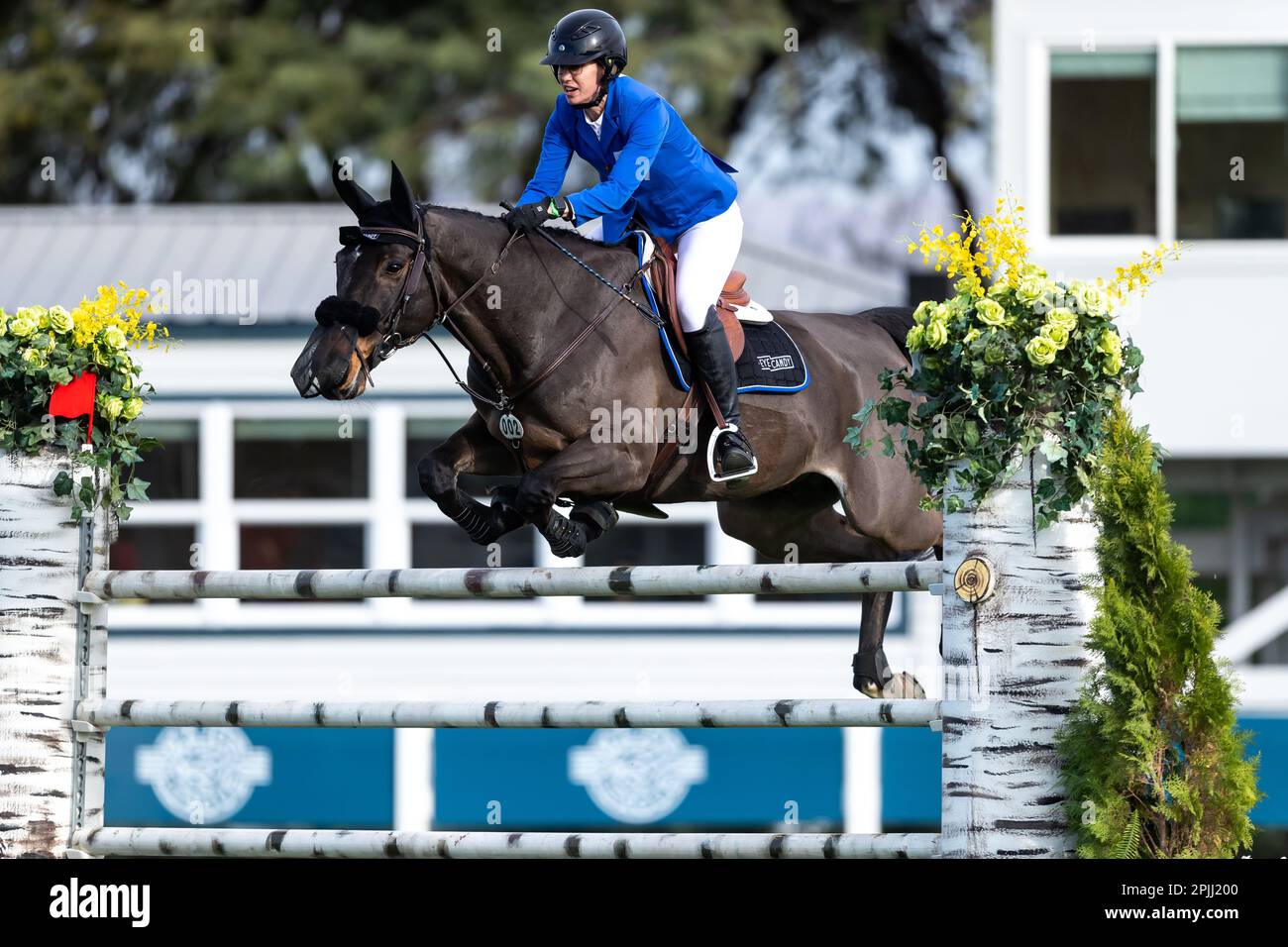 Amy Millar from Canada competes at a Major League Show Jumping event at ...