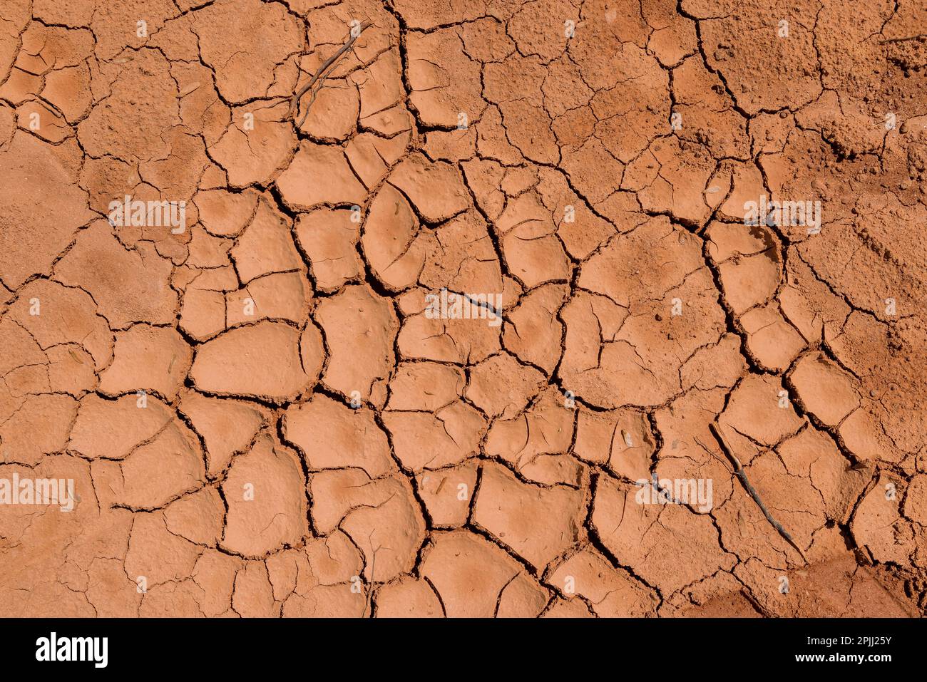 During long periods of drought ground has developed large crack texture ...