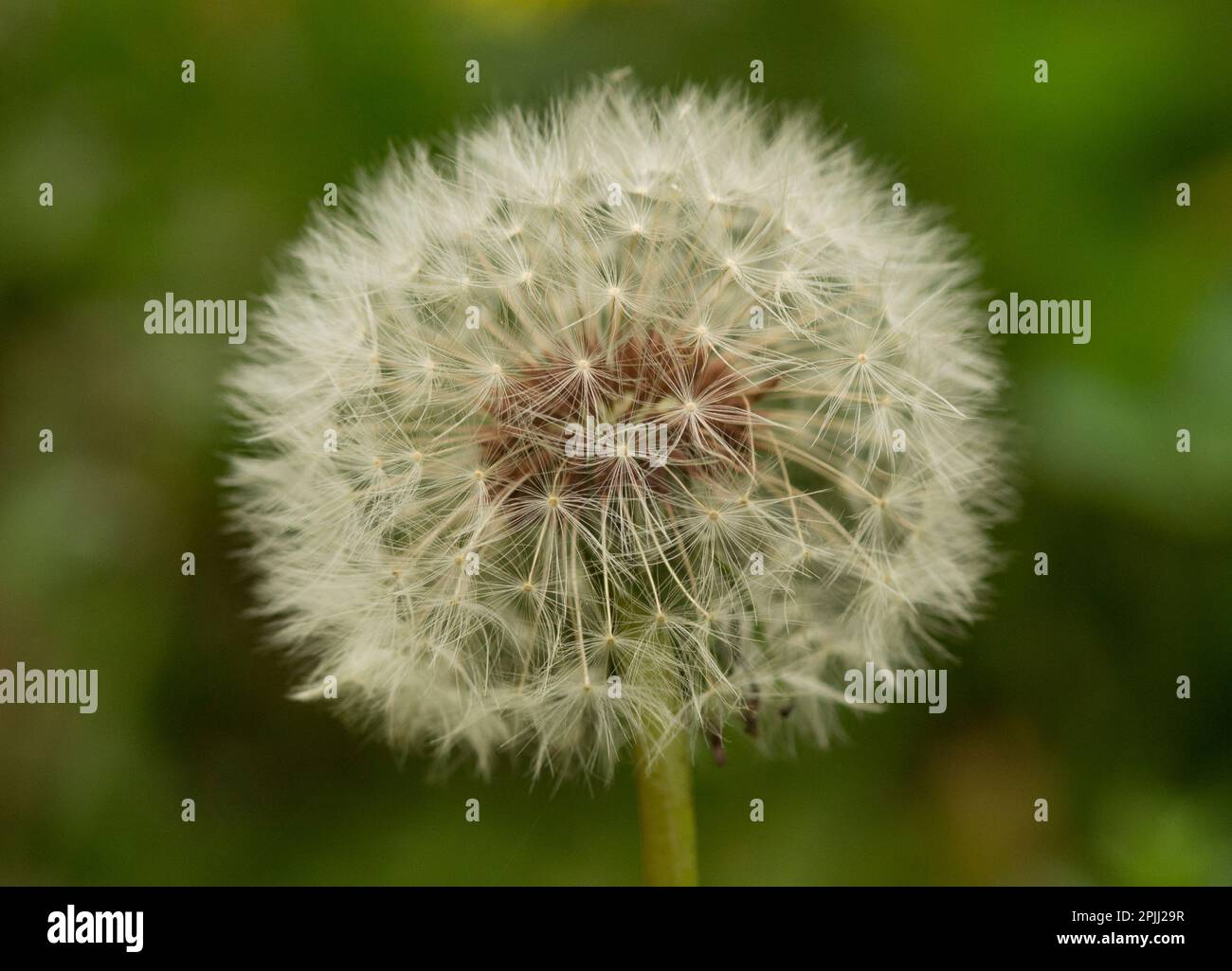 Spring season 2023 hi-res stock photography and images - Alamy