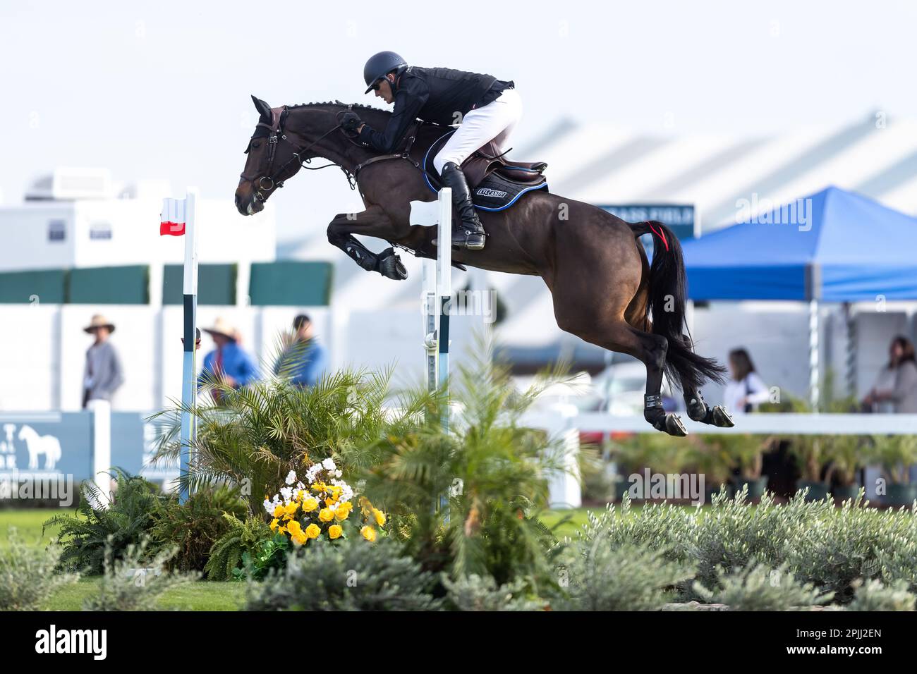 Paul O'Shea of Ireland competes at a Major League Show Jumping event at ...