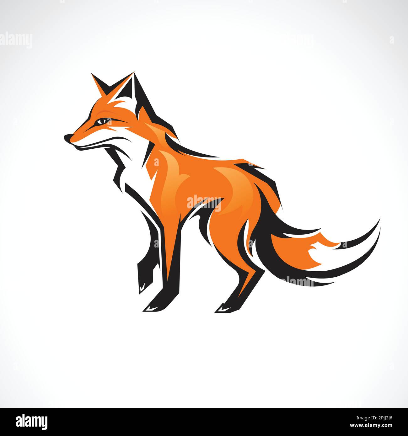 Vector of a fox design on white background. Wild Animals Stock Vector ...