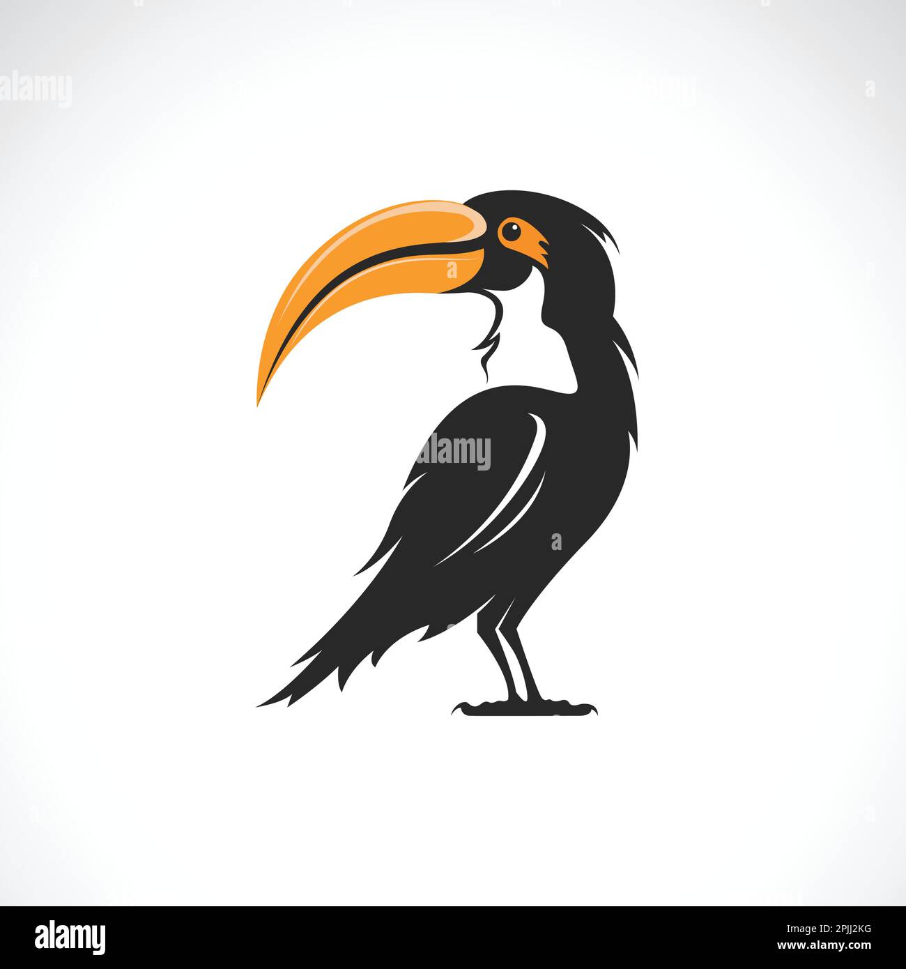 Vector of a hornbill design on white background. Bird. Wild Animals ...