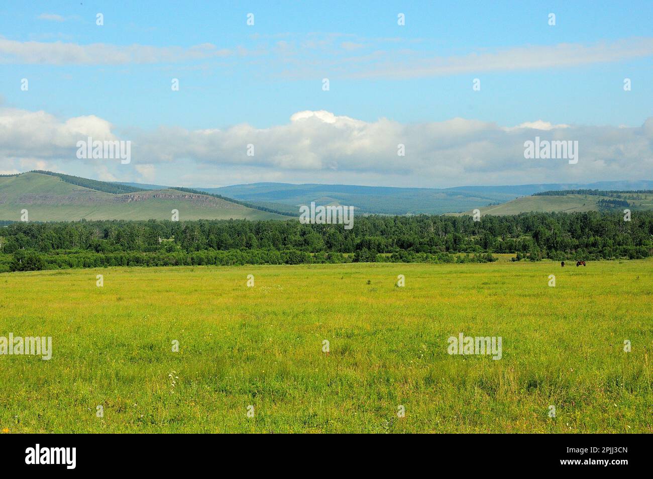Wide grassy strip hi-res stock photography and images - Alamy