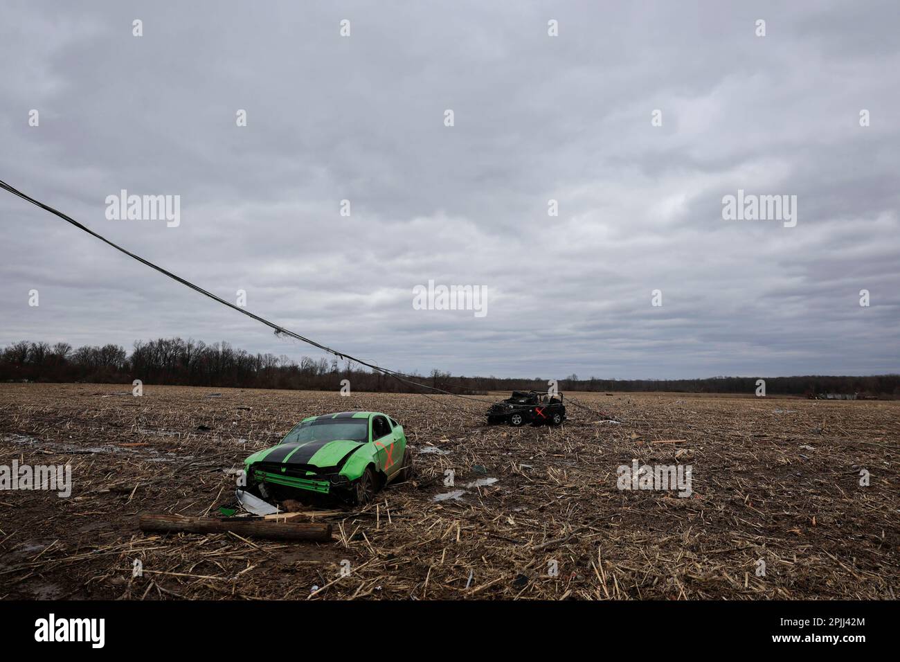 SULLIVAN, INDIANA - APRIL 1: A Mustang rests in a corn field after a ...