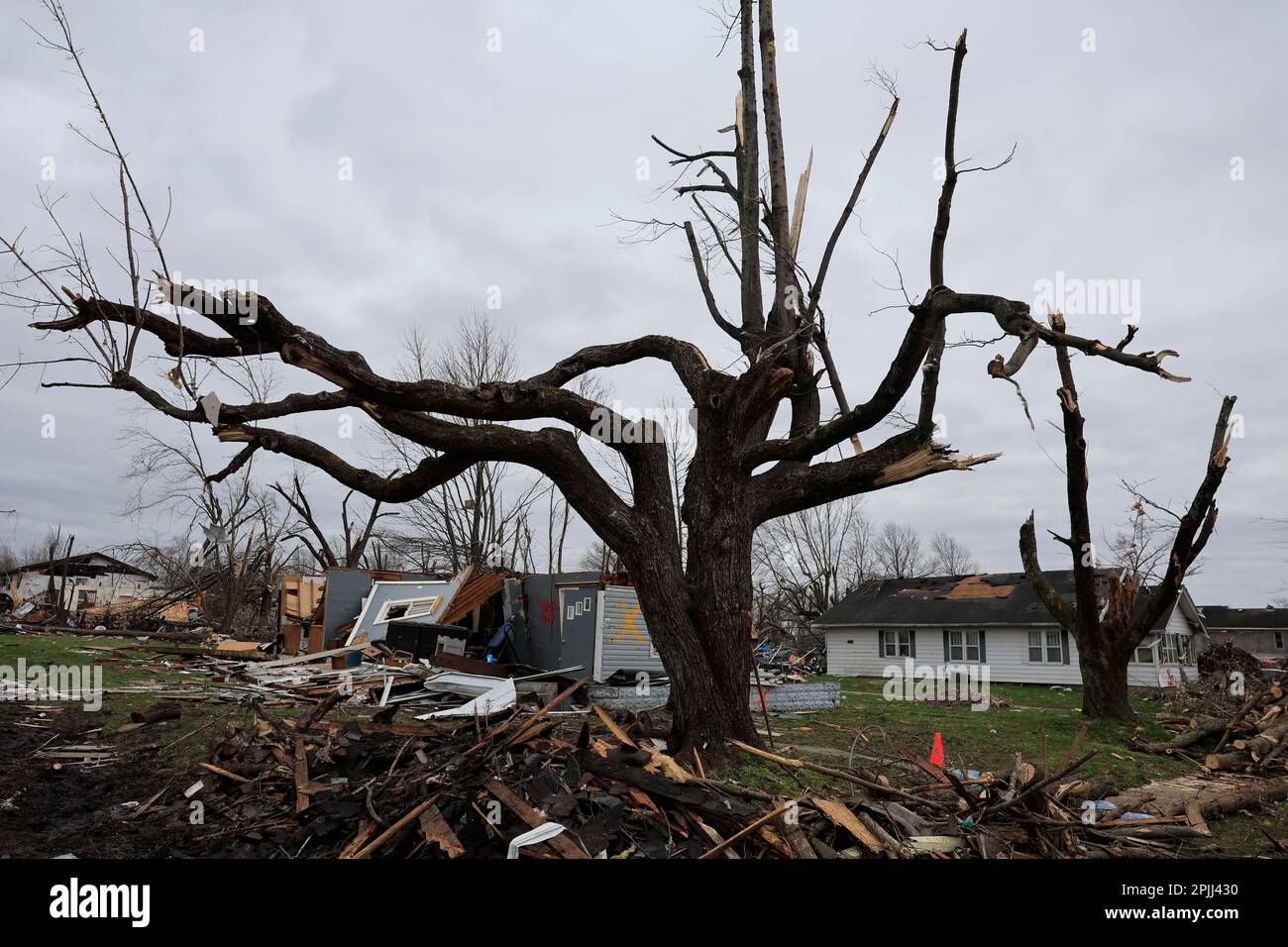 SULLIVAN, INDIANA - APRIL 1: A damaged tree stands above demolished ...