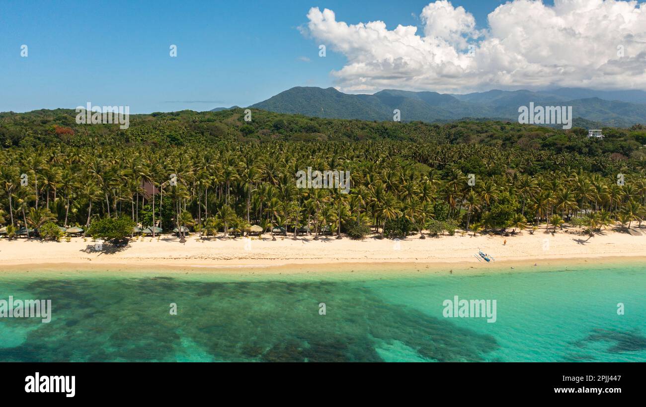 Aerial view of Tropical beach with palm trees. Pagudpud, Ilocos Norte ...