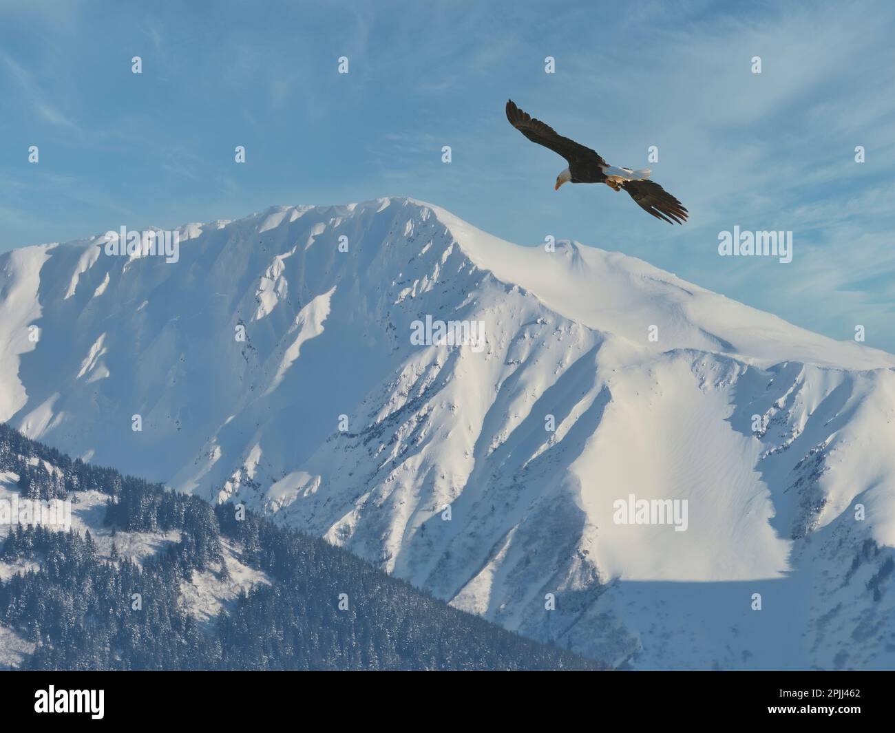 Winter in southeast alaska hi-res stock photography and images - Alamy