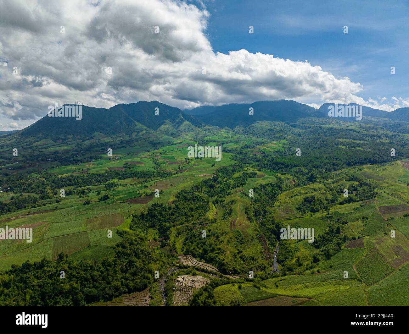 Tropical mountain range with canyon and mountain slopes with rainforest ...