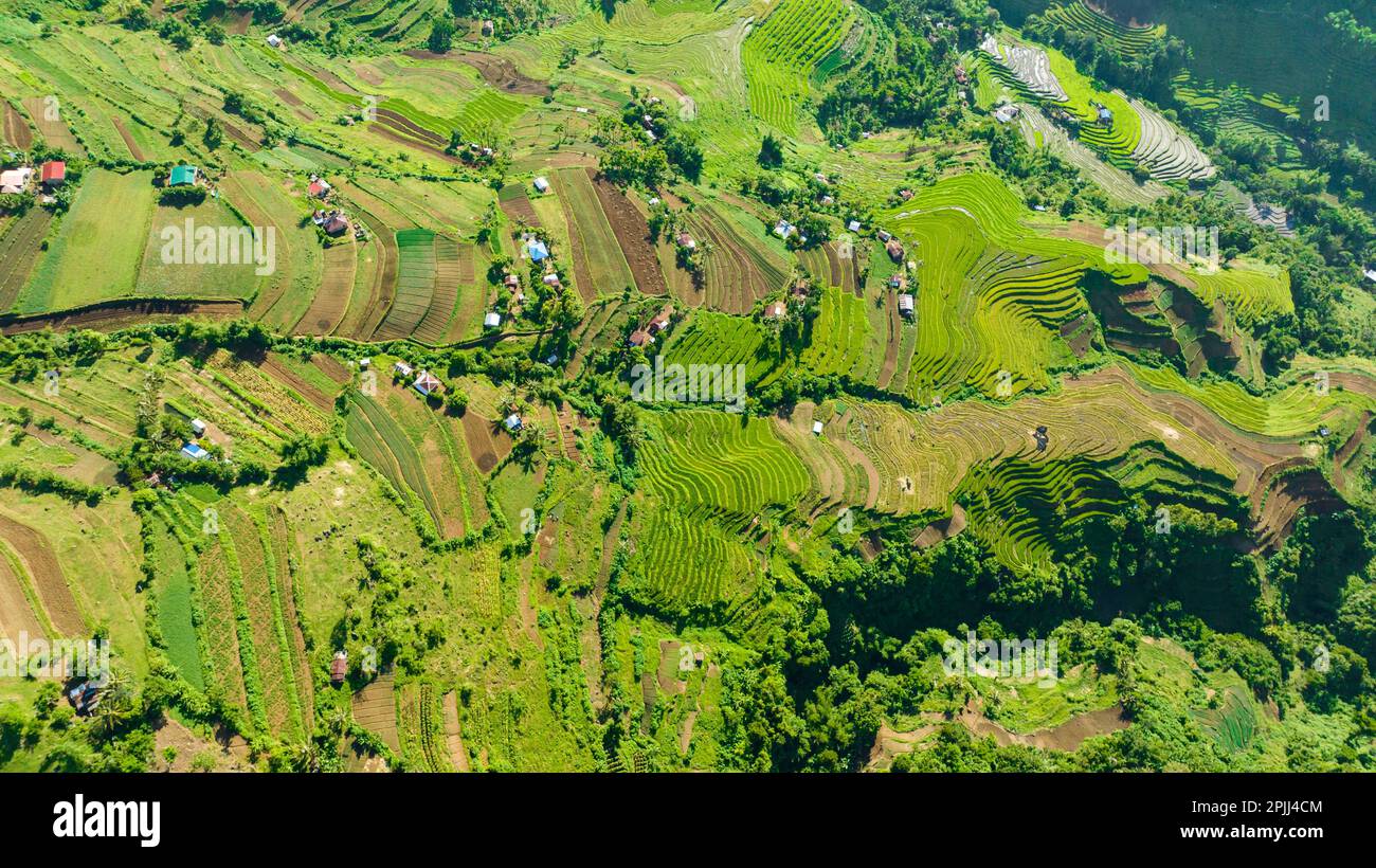 Aerial view of farmland and rice terraces on the slopes of the Canlaon ...